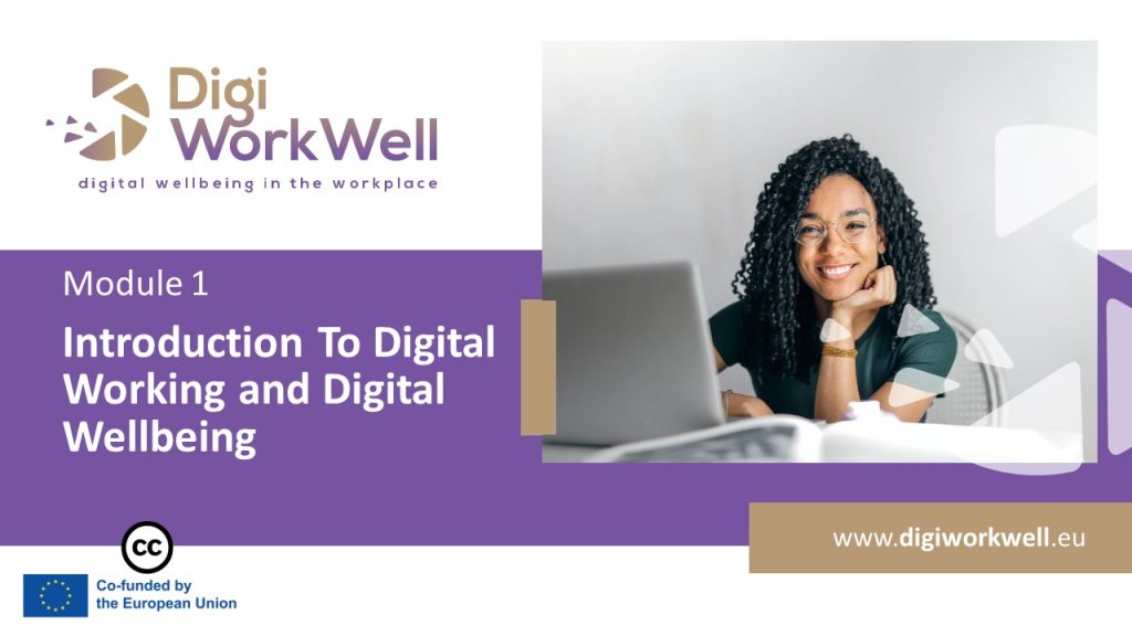 Digi WorkWell Training Programme - EN - Digi Work Well
